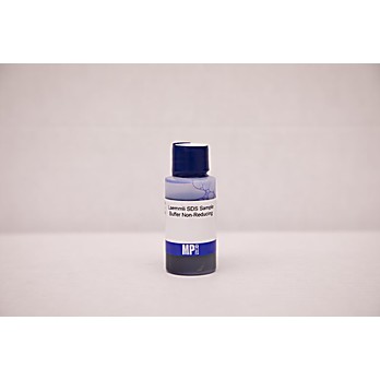 Laemmli SDS Sample Buffer