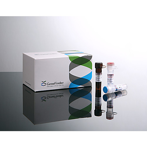 GeneFinder™ HLA-B*27 Plus RealAmp kit