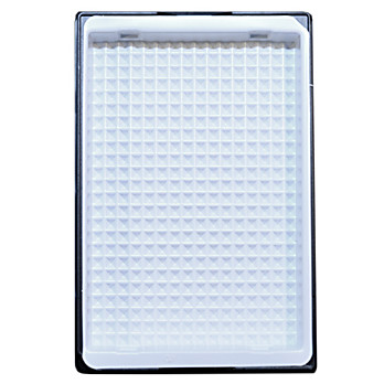 Deep Well U-Bottom Plate