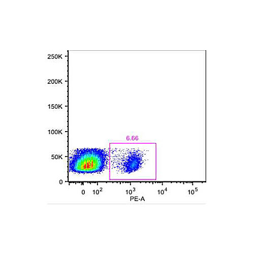 Fluorescent Activated Cell Sorting (FACS) and Immunofluorescence (IF ...