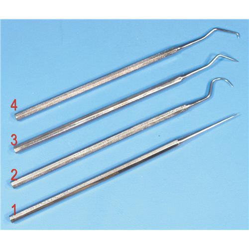 Stainless Steel Probes