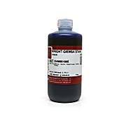 Giemsa Stain Kit at Thomas Scientific