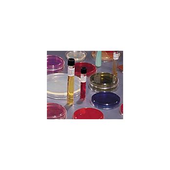 TUBE BHI BROTH 5ML 100 EA