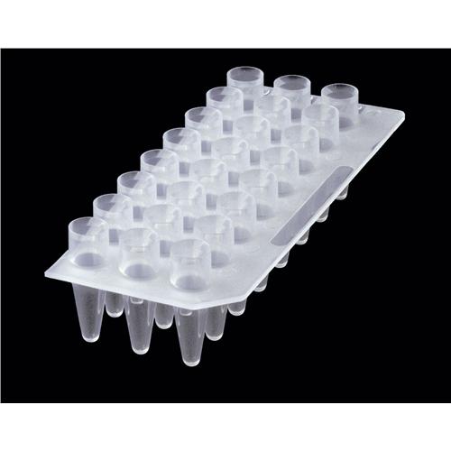 24 Well PCR Microplate. Clear