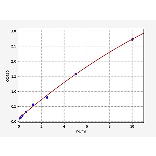 Rat PKC zeta/Protein Kinase C Zeta ELISA Kit