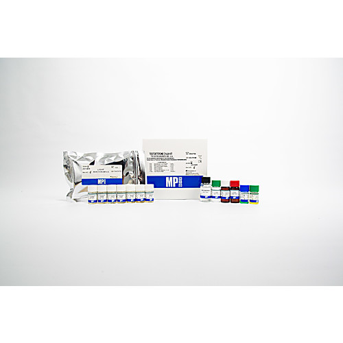 Testosterone ChLIA Kit 1 96 Wells