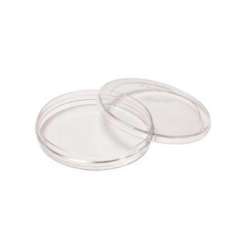 Nunc IVF Petri Dish