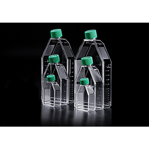 Cell Culture Flask