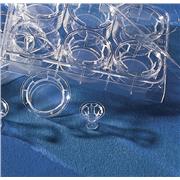 24 Well Insert at Thomas Scientific