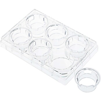 Permeable Cell Culture Inserts