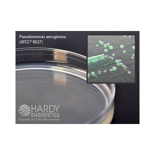 Cetrimide Select Agar, for Pseudomonas, USP