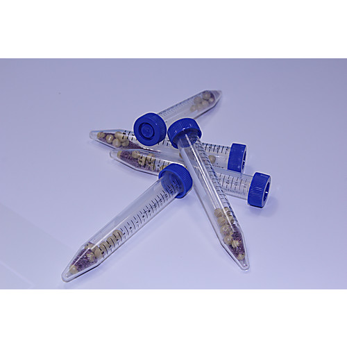 Lysing Matrix A, 15mL Tubes