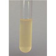 E Coli Broth at Thomas Scientific