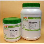 Plant Agar at Thomas Scientific