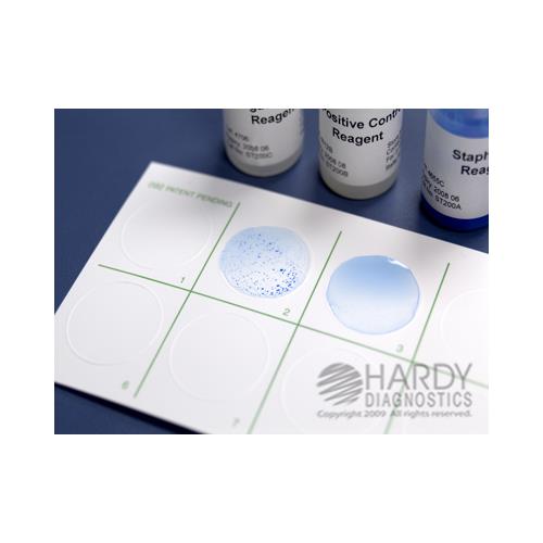 Latex Agglutination Cards