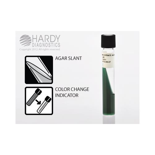 Simmons Citrate Agar Slant