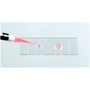 Microscope Grid at Thomas Scientific