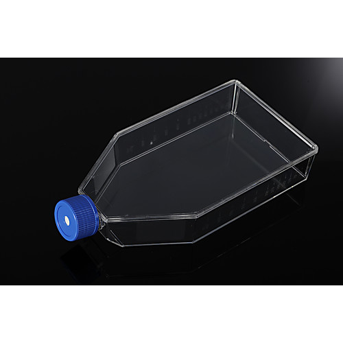 Cell Culture Flasks