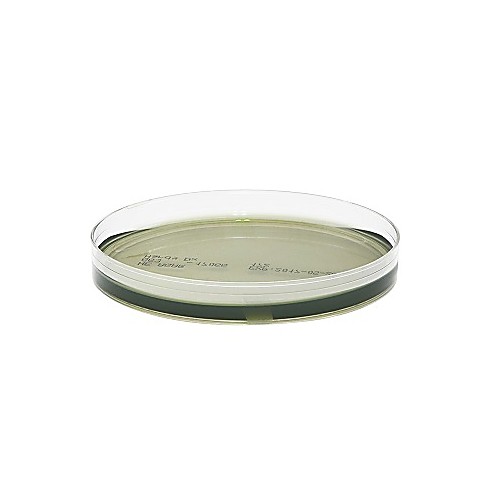 HE (Hektoen Enteric) Agar