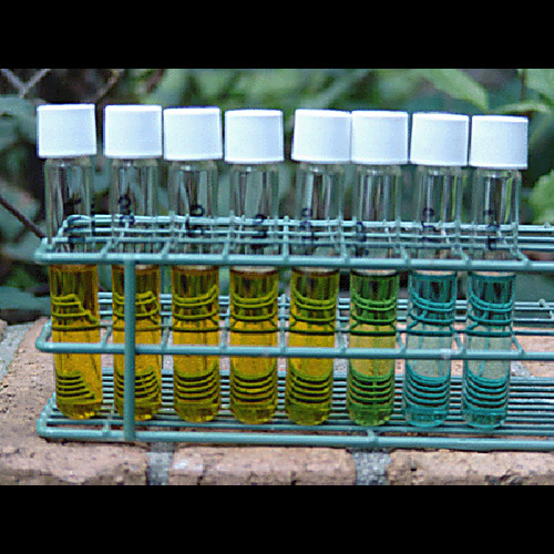 Digestion Reagent Tubes for COD