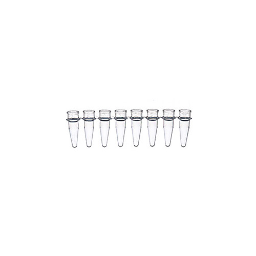 PCR 8-Tube Strips