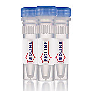 Random Hexamers at Thomas Scientific