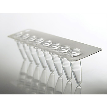 8 Well PCR Tube Strips