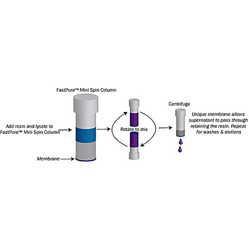 FastPure™ Mini Spin Columns