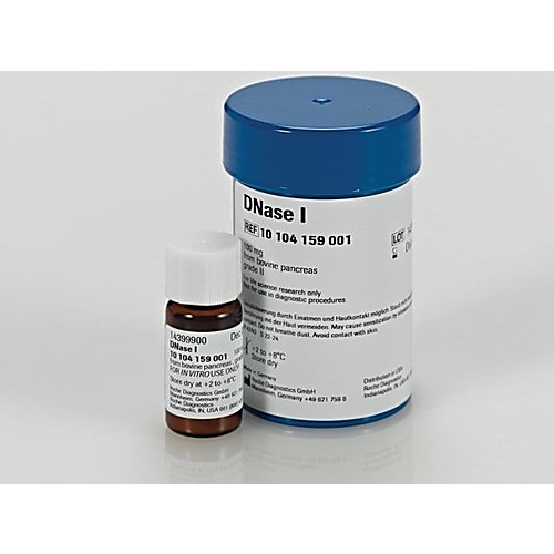 ROCHE DNase I, grade II, from bovine pancreas