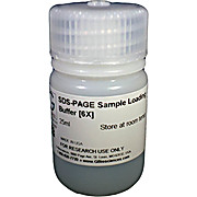 Sds Page Loading Buffer 5x Recipe | Deporecipe.co