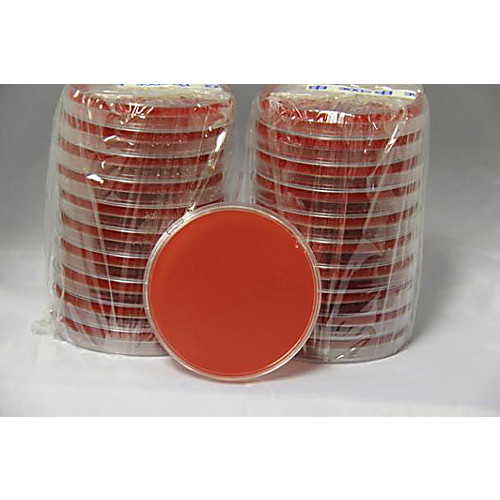 Campy Blood Agar