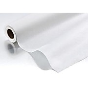 Absorbent Paper at Thomas Scientific