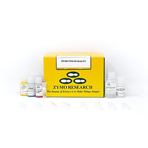 ZR BAC DNA Miniprep Kit