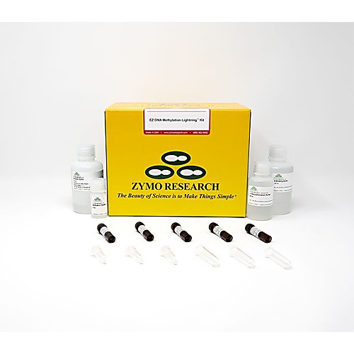 EZ DNA Methylation-Lightning Kit