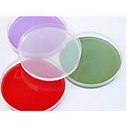 Cetrimide Agar at Thomas Scientific
