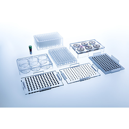 BiO Assay™ Kits