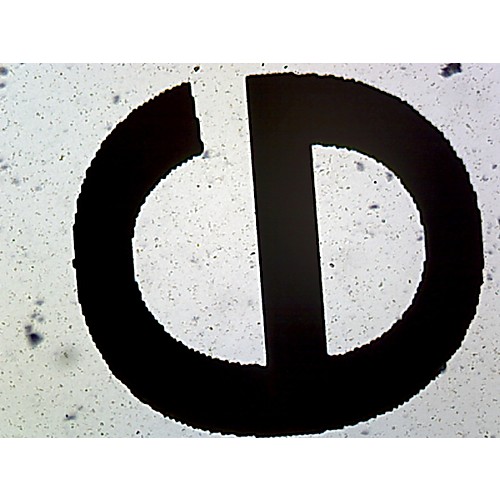 Prepared Microscope Slide,Letter E Wholemount