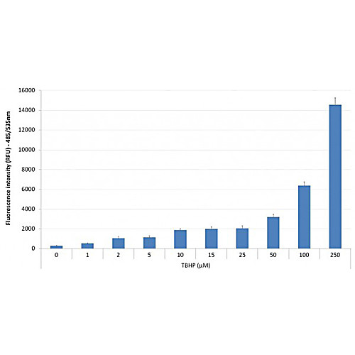 Ros Detection Assay Kit