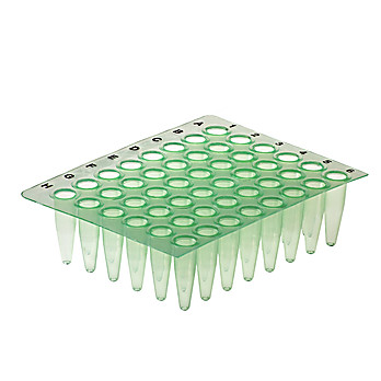 AMPLATE™ Thin Wall 48-Well PCR Plates