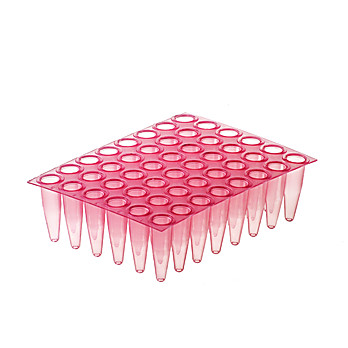 AMPLATE™ Thin Wall 48-Well PCR Plates