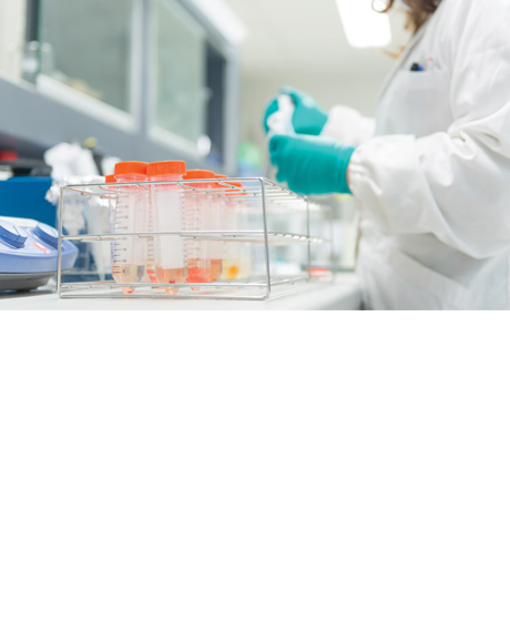 Home Supplier Corning - LAB Shopping list